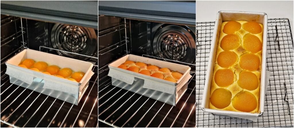 Apricot Cake 杏铺蛋糕 - Anncoo Journal