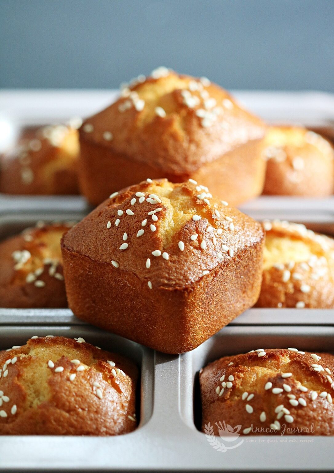 Chinese Honey Cake 蜂蜜小蛋糕 - Anncoo Journal